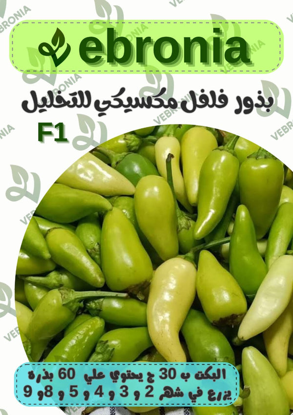 Mexican pepper seeds (Pickling) – Qamhawey Shop