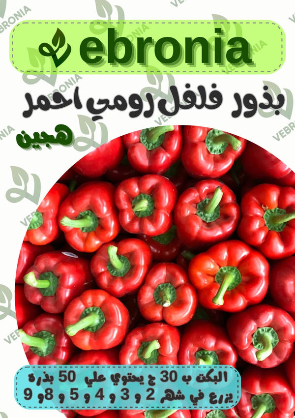 Red bell pepper seeds – Qamhawey Shop