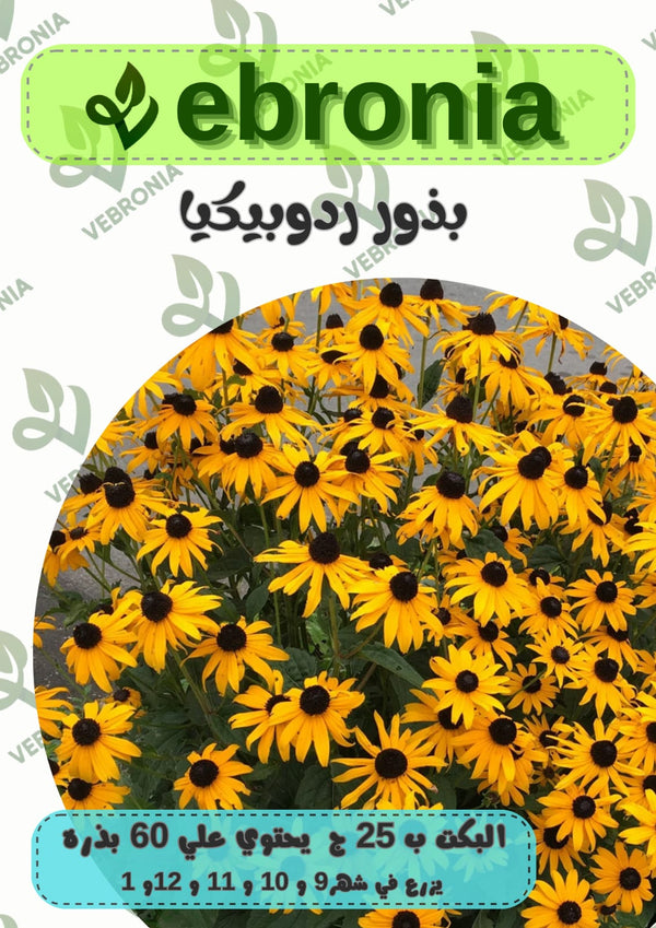 Rudbeckia seeds – Qamhawey Shop